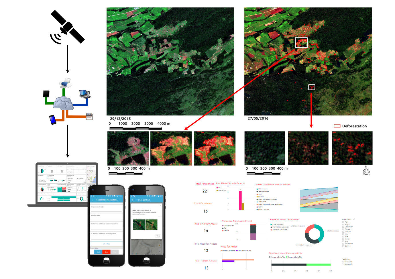 Award Winning Forest Alert System – NCEO at COP